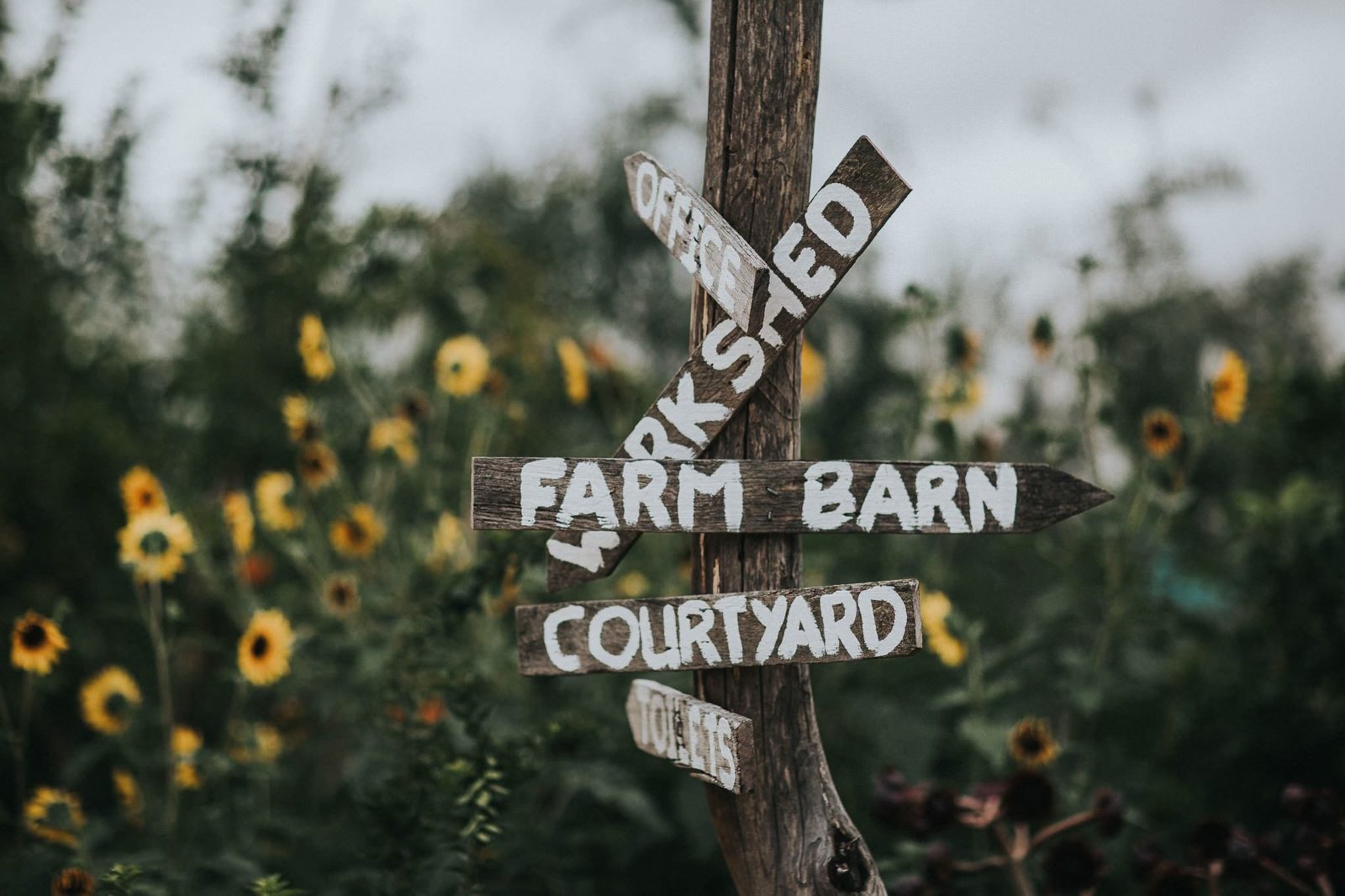 Kayla + Jared Perth City Farm - Kate Drennan Photography